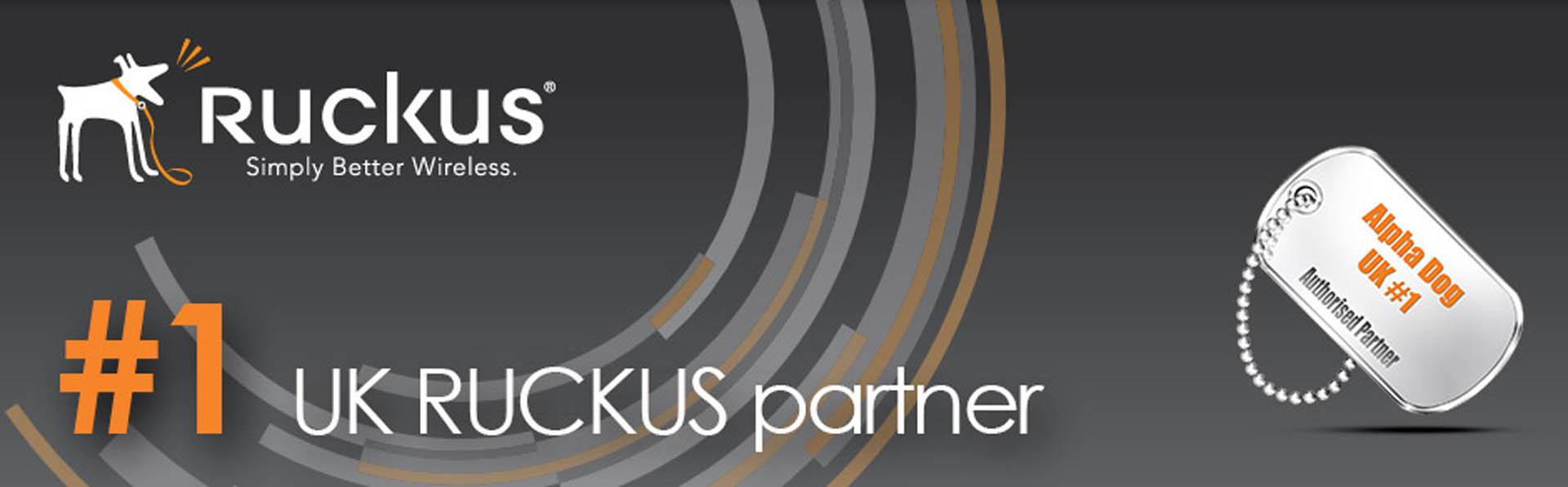 DigitalAir Wireless named top RUCKUS Wireless partner